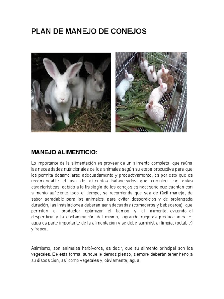Plan de Manejo de Conejos | PDF | Parto | Embrión