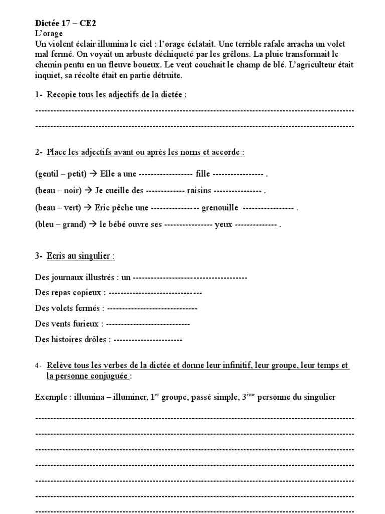 Dictée 17 | PDF