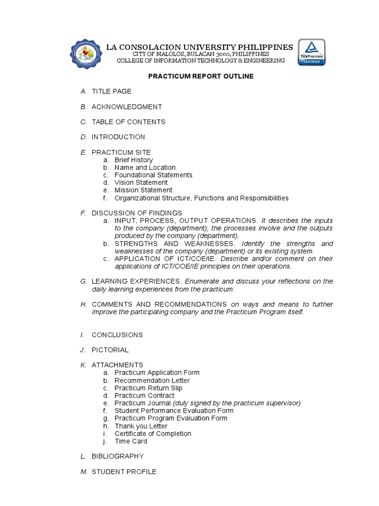 Practicum Report for IT & Engineering | PDF