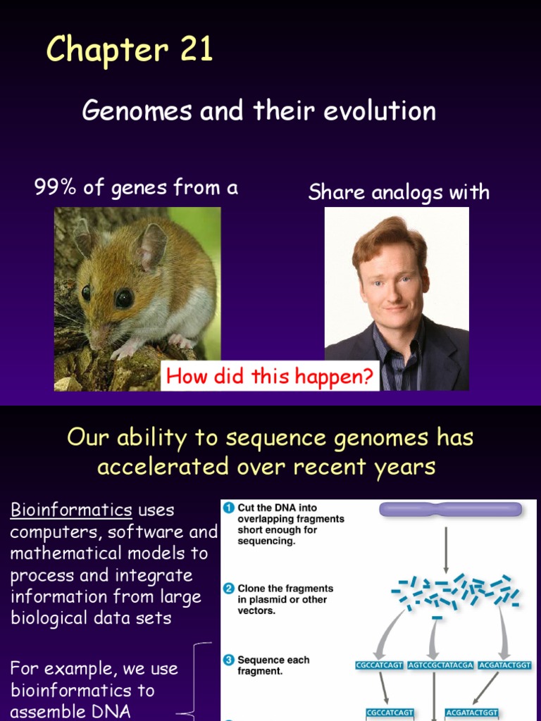 Chapter 21 Genomes and Their Evolution | PDF | Transposable Element | Genome