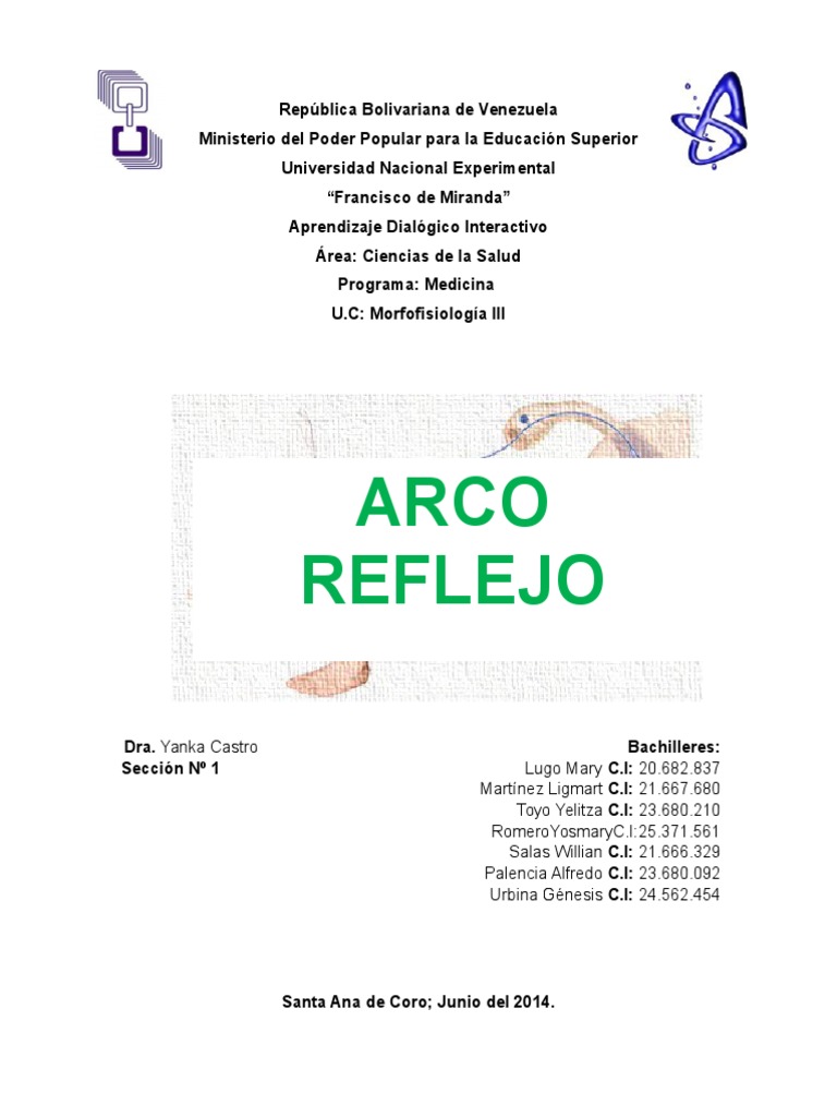 Estructura y Tipos de Arco Reflejo | PDF | Sistema nervioso | Neurona
