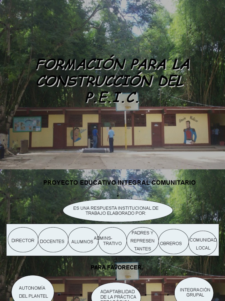 Como Elaborar Un Peic | PDF | Comunidad | Cognición