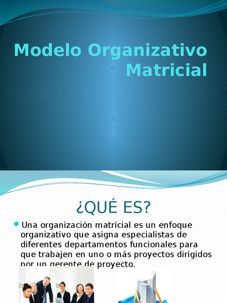 Modelo organizativo matricial: estructura, ventajas y desventajas | PDF
