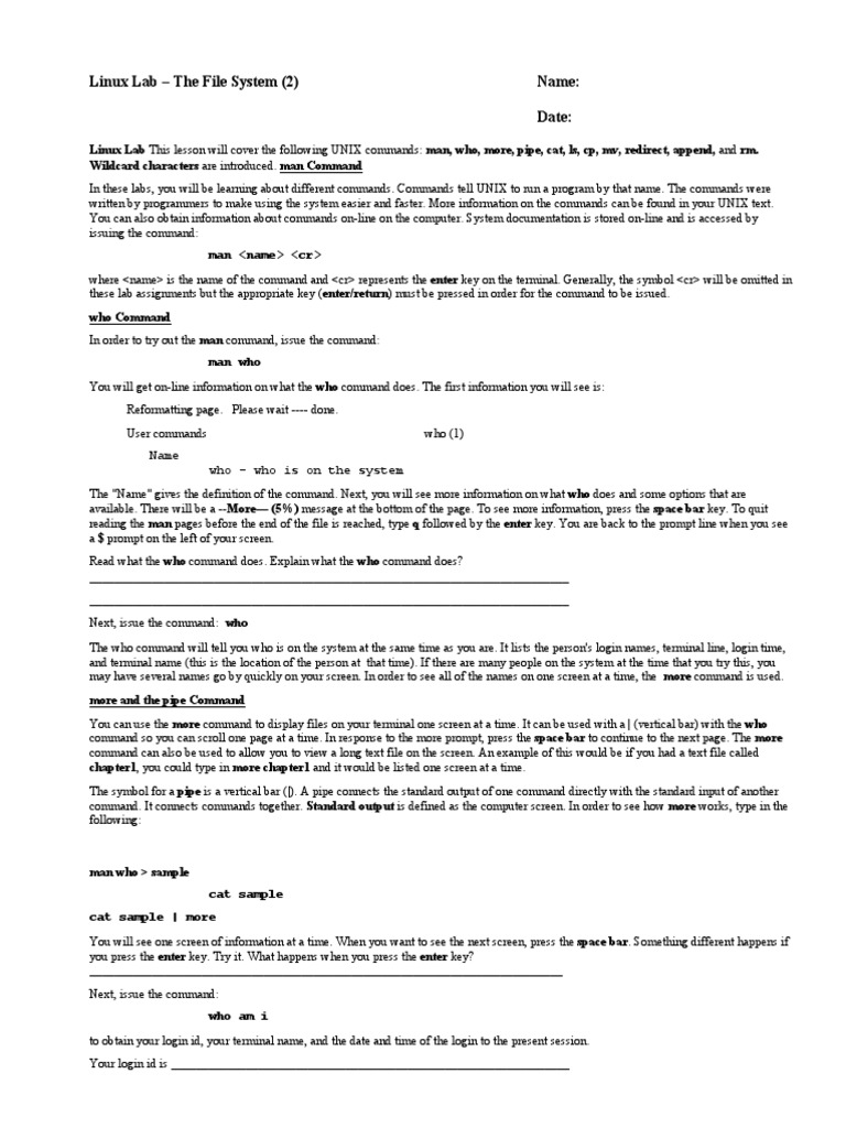 Linux Lab 3 File System | PDF | Computer File | Software