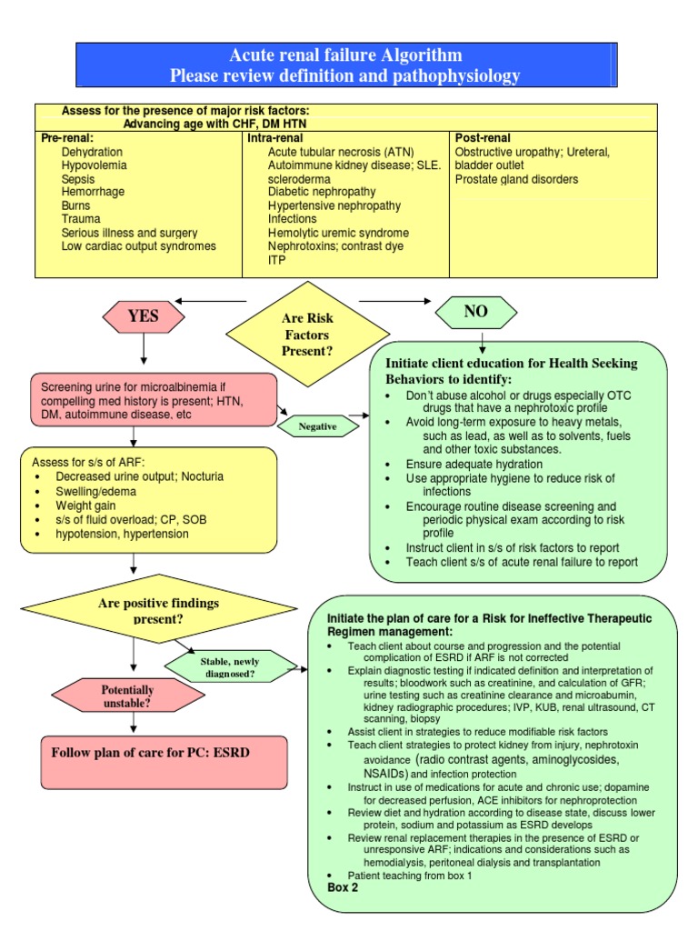 ARF Algorithm | Chronic Kidney Disease | Renal Function