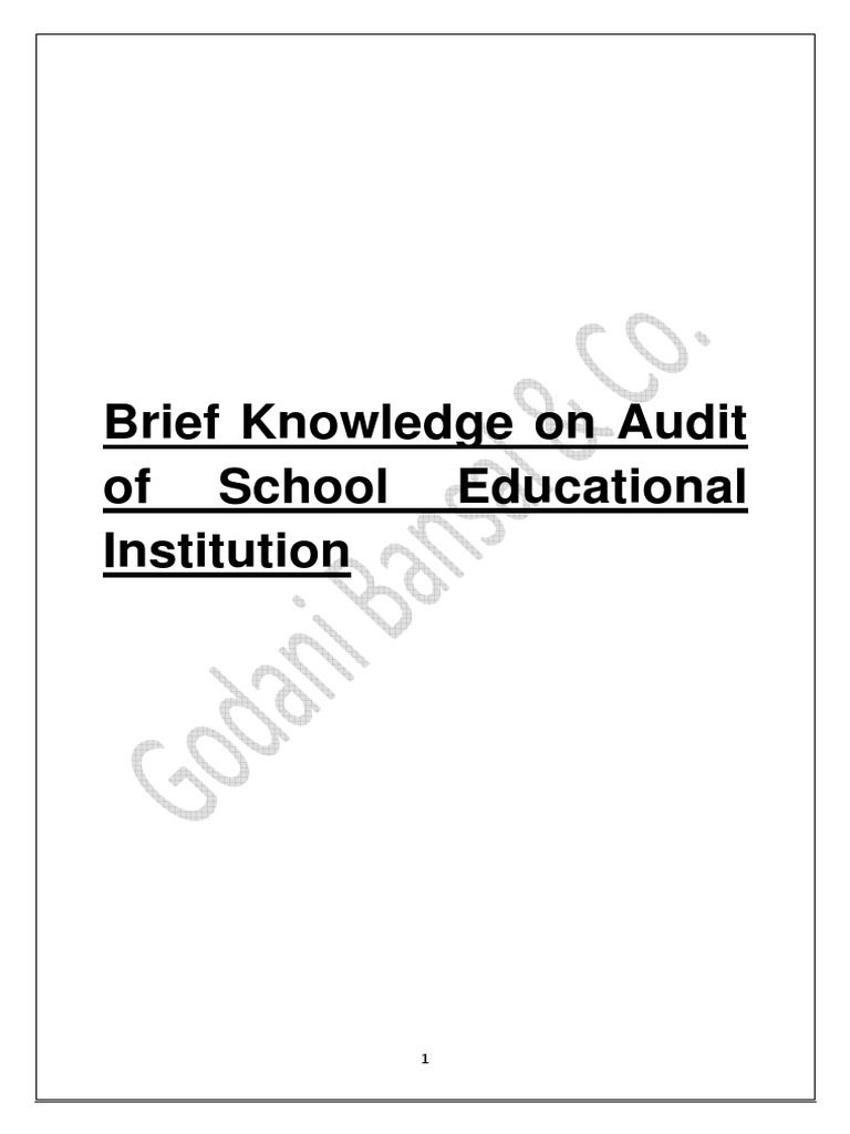 Brief Note On School Audit | PDF | Fund Accounting | Debits And Credits
