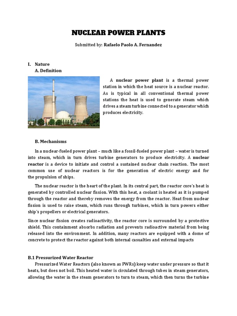 Nuclear Power Plant | PDF | Nuclear Reactor | Nuclear Power Plant
