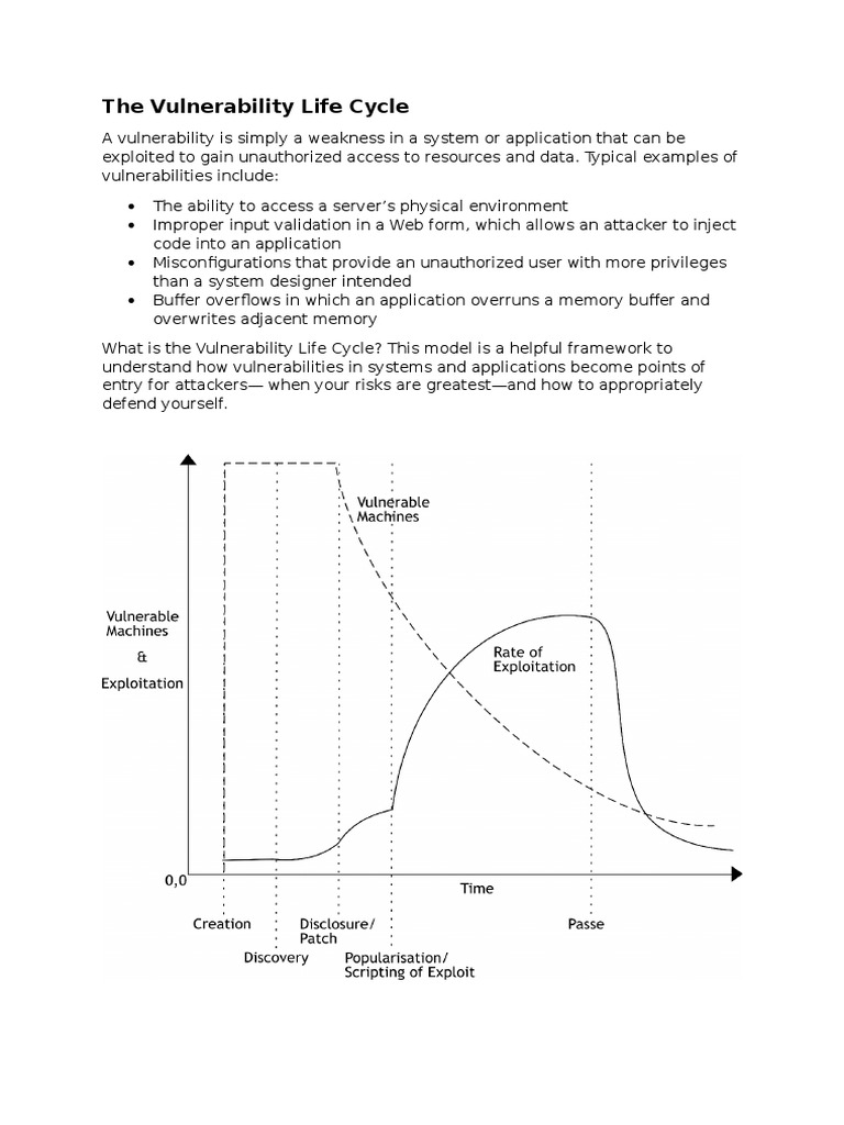 The Vulnerability Life Cycle | Exploit (Computer Security ...