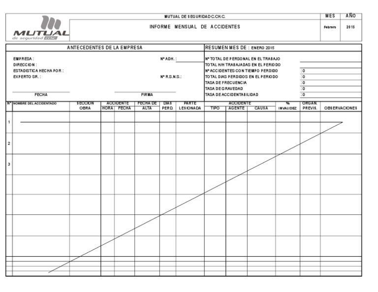 Formato Inf Mensual Mutual | PDF