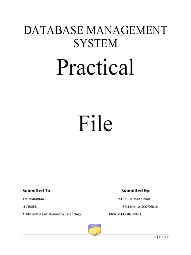 Database Management System | PDF | Databases | Data Management Software