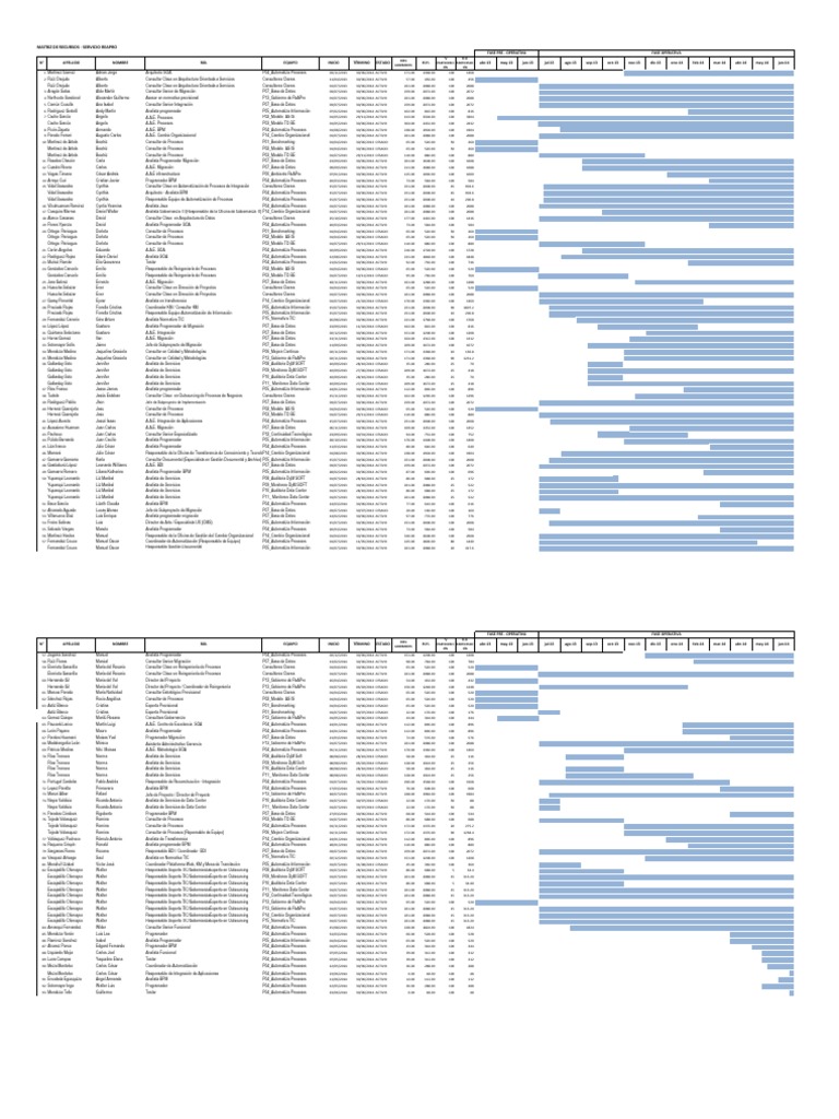 Matriz de Recursos INDRA | PDF | Ingeniería de Sistemas ...