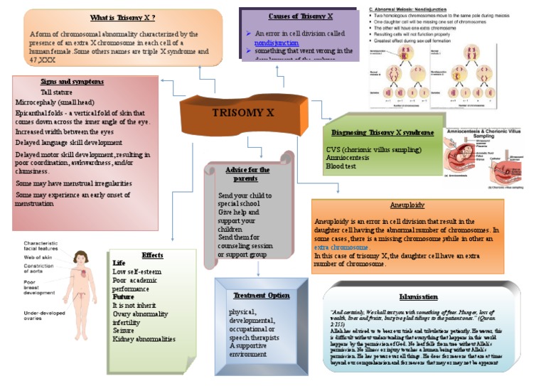 What is Trisomy X
