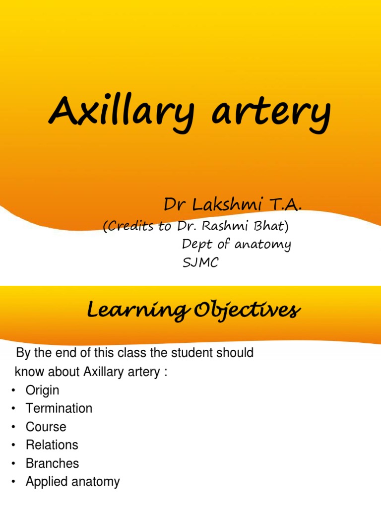 Axillary Artery: A Comprehensive Guide to its Origin, Course, Relations ...