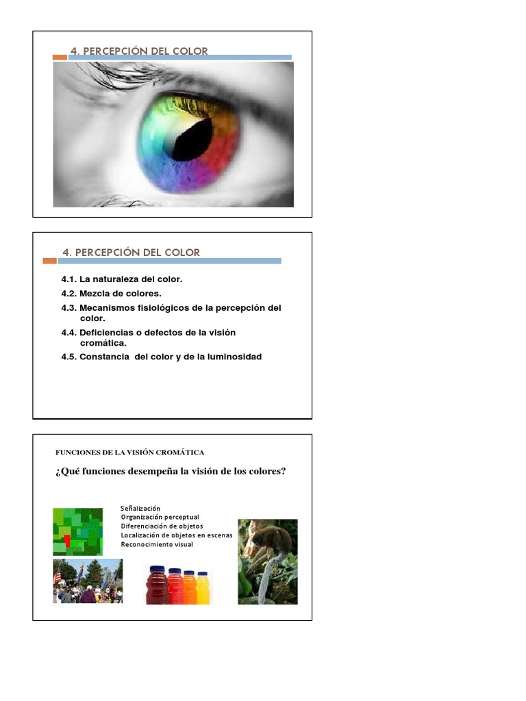 Tema4 Percepcion Del Color | Descargar gratis PDF | Matiz | Color