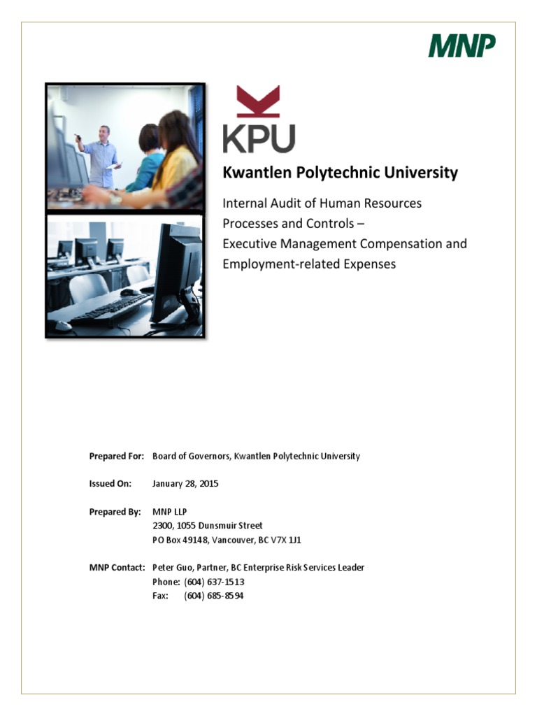 MNP LLP Report | PDF | Employment | Risk Management