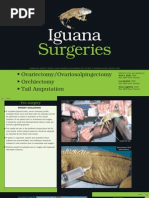 Kitty Magic | PDF | Anesthesia | Surgery