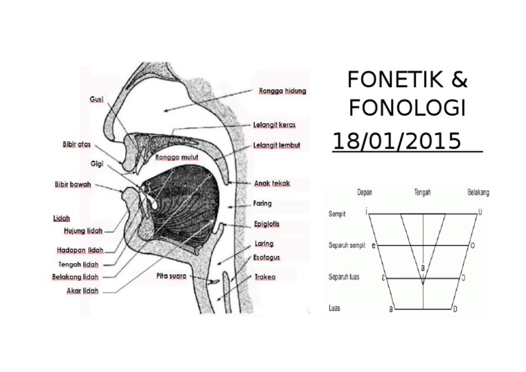 Jenis Artikulasi PDF