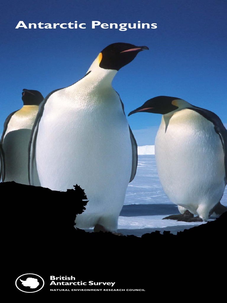 Antarctic Penguins | PDF | Penguin | Antarctica