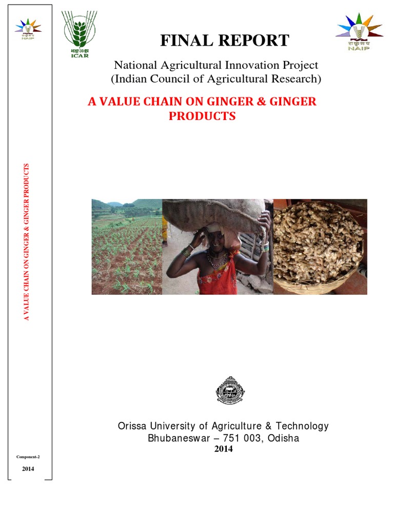 A Value Chain On Ginger & Ginger Products | PDF | Organic Farming ...