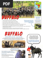 LEGO Colouring Book | PDF