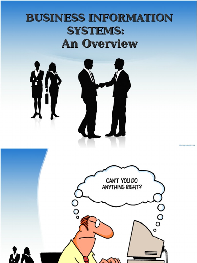 Business Information Systems | PDF | Information System | Enterprise ...