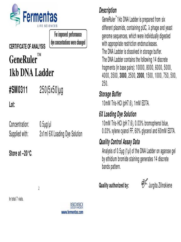 Generuler 1Kb Dna Ladder: Description | PDF