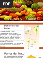 Anatomía, Morfología y Clasificación Del Fruto | PDF | Fruta | Plantas