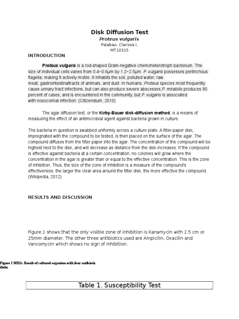 Assessing Antibiotic Susceptibility of Proteus vulgaris Through Disk ...