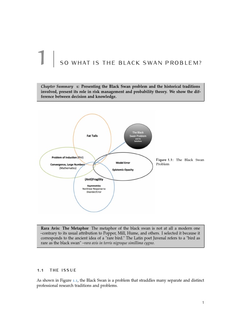 Black Swan | PDF | Probability Theory | Random Variable
