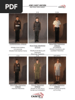 Air Cadet Brassard Badge Placement Guide | PDF