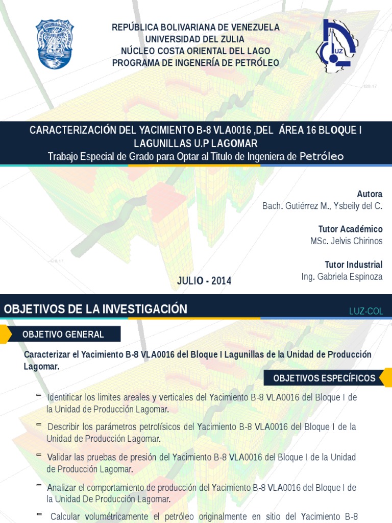 Caracterización Yacimiento B-8 VLA0016 | PDF | Petróleo | Ciencias fisicas