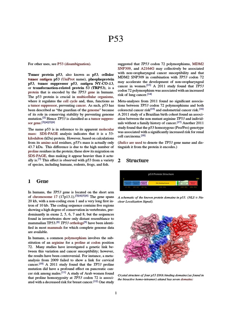2 Structure: Tumor Protein p53, Also Known As p53, Cellular p53 (p53 ...