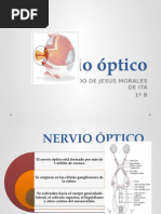 Inervación y funciones de nervios oculares | PDF | Anatomía | Anatomía ...
