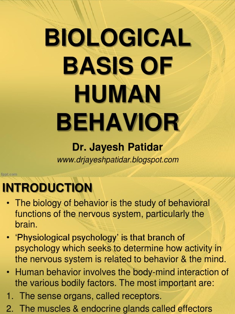Biological Basis of Human Behavior | PDF | Neuron | Central Nervous System