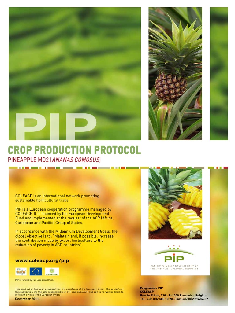 MD2 Pineapple Protocol | PDF | Pineapple | Soil