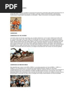 Medidas de Estafeta y Vallas | PDF | Deporte del atletismo | Carreras