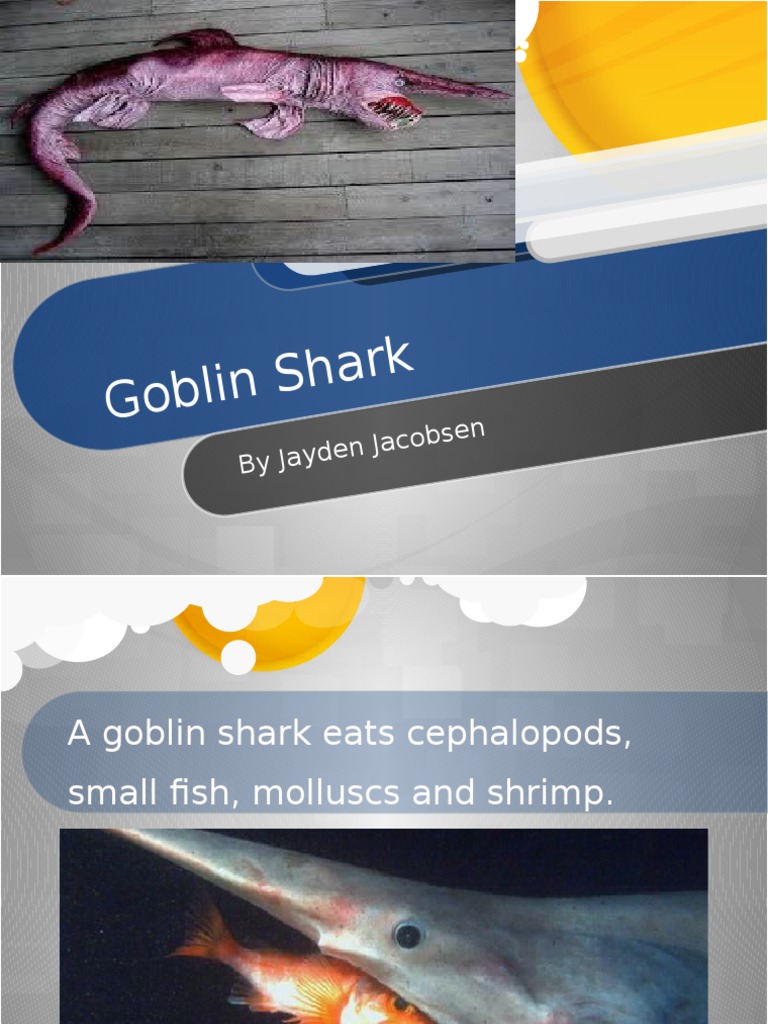 Goblin Shark 2 | PDF