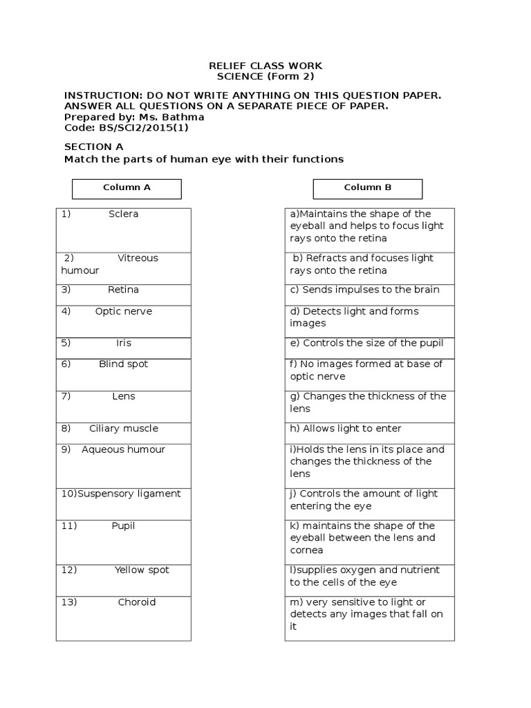 Form 2 Science Worksheet | Download Free PDF | Human Eye | Visual System
