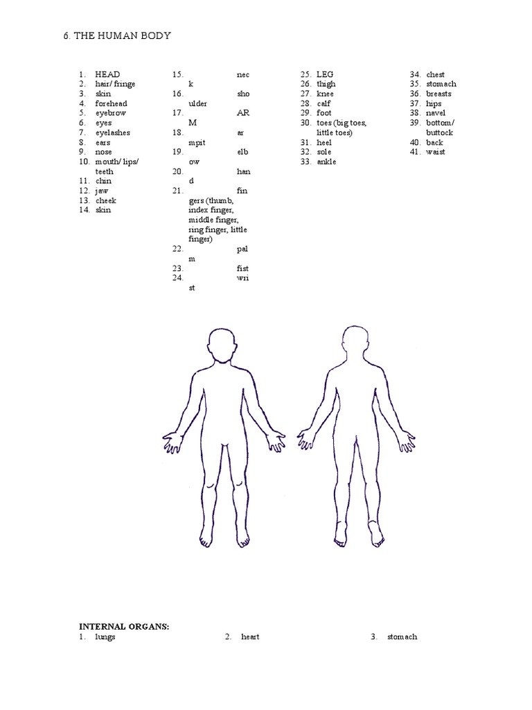 Human Body & Health Overview | PDF