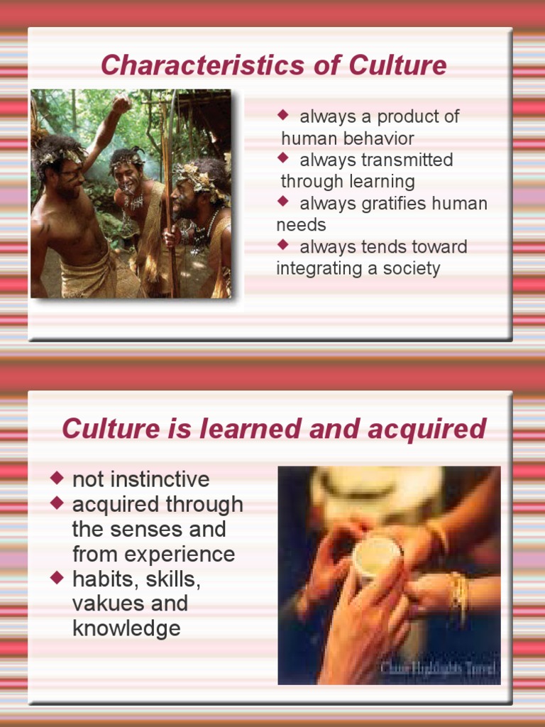 Characteristics of Culture | PDF