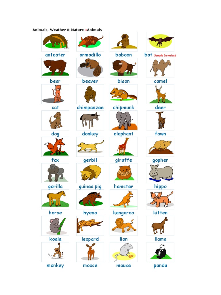 Animal Vocabulary List | PDF