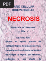 7 Muerte Celular (Necrosis) | PDF