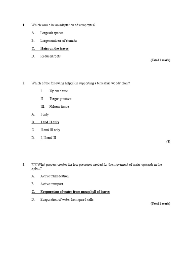 Bio Plant Exam | PDF | Root | Branches Of Botany