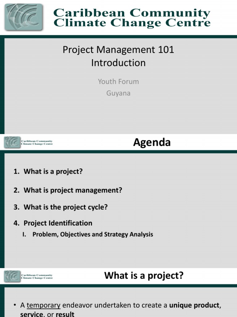 Problem Tree Analysis | PDF | Project Management | Business