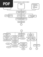 PathoPhysiology of Cervical Cancer | PDF | Cervical Cancer | Neoplasms