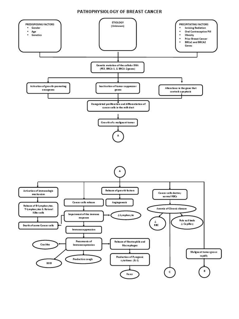 Pathophysiology of Breast Cancer | PDF | Lymphatic System | Neoplasms
