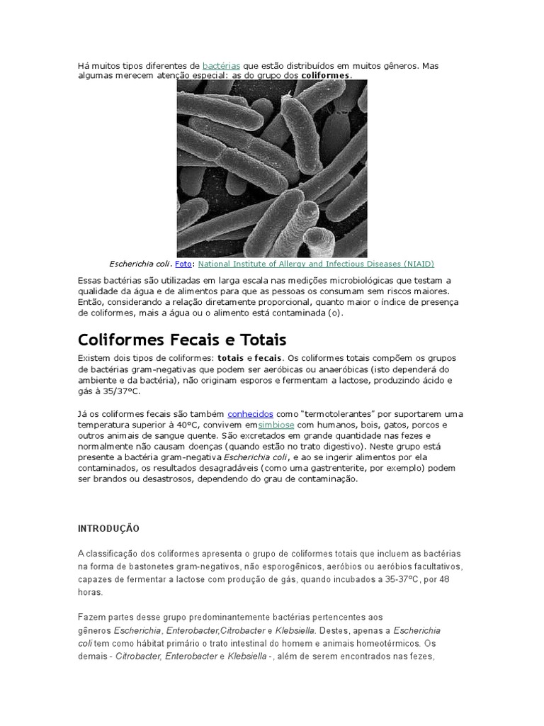 Análise de Coliformes em Alimentos e Água | PDF | Fezes | Bactérias