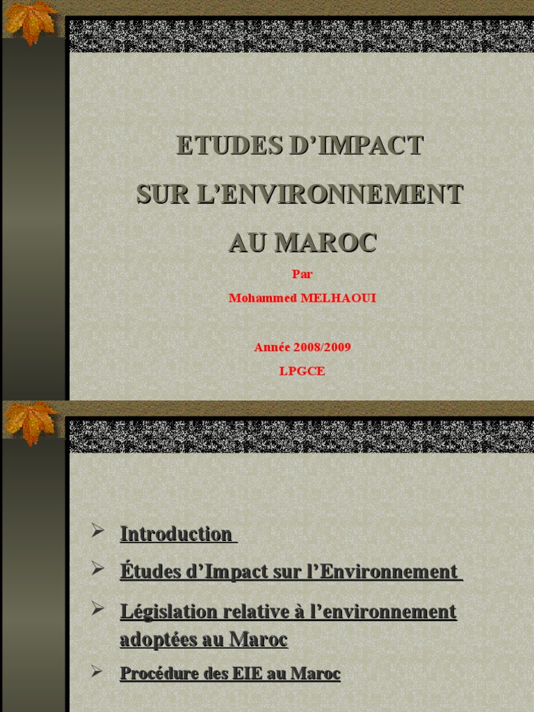 Cours EIE 2009 MELHAOUI | PDF | Étude d'impact | Droit statutaire
