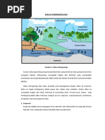 Akuifer, Akuiklud, Akuifug, Akuitar | PDF