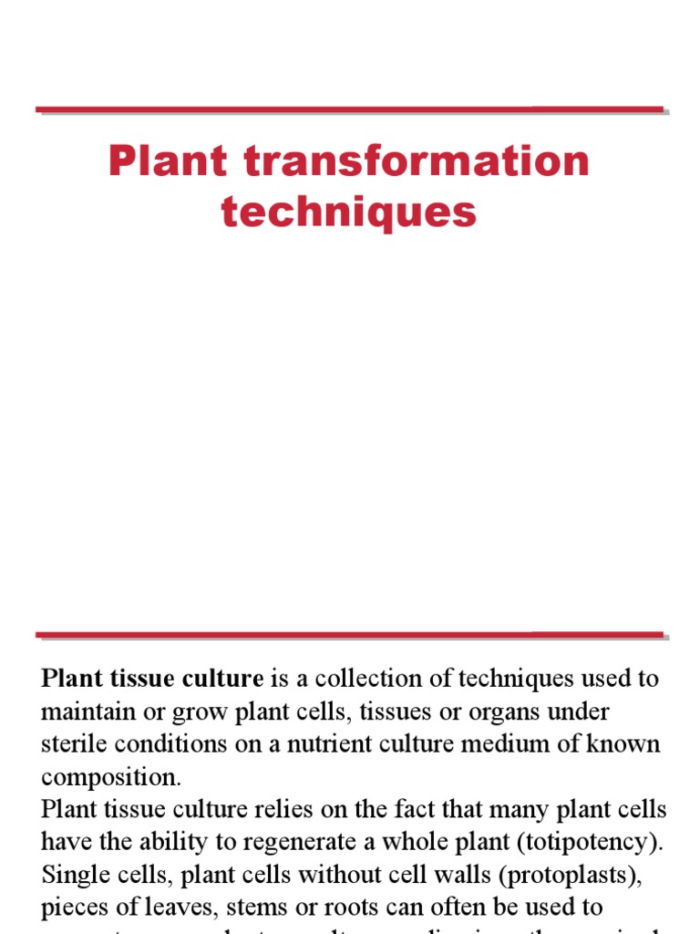 Plant Transformation Techniques Overview | PDF | Genetics | Life Sciences